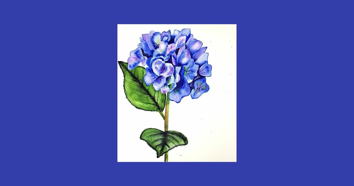 A Nagy Akvarellkönyv videó | Lamibakos.com